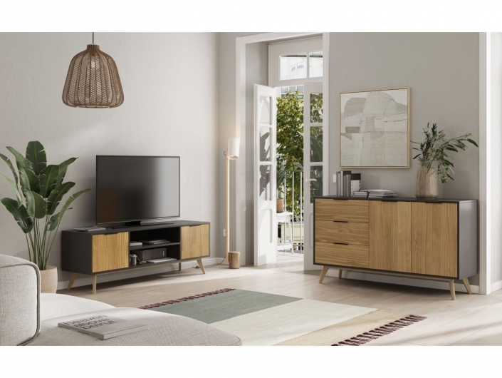 Mueble Tv Negro con 2 puertas en madera | Merkamueble